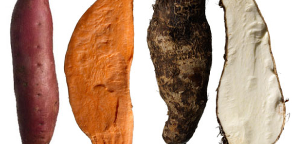 Sweet Potatoes – Piedmont Master Gardeners