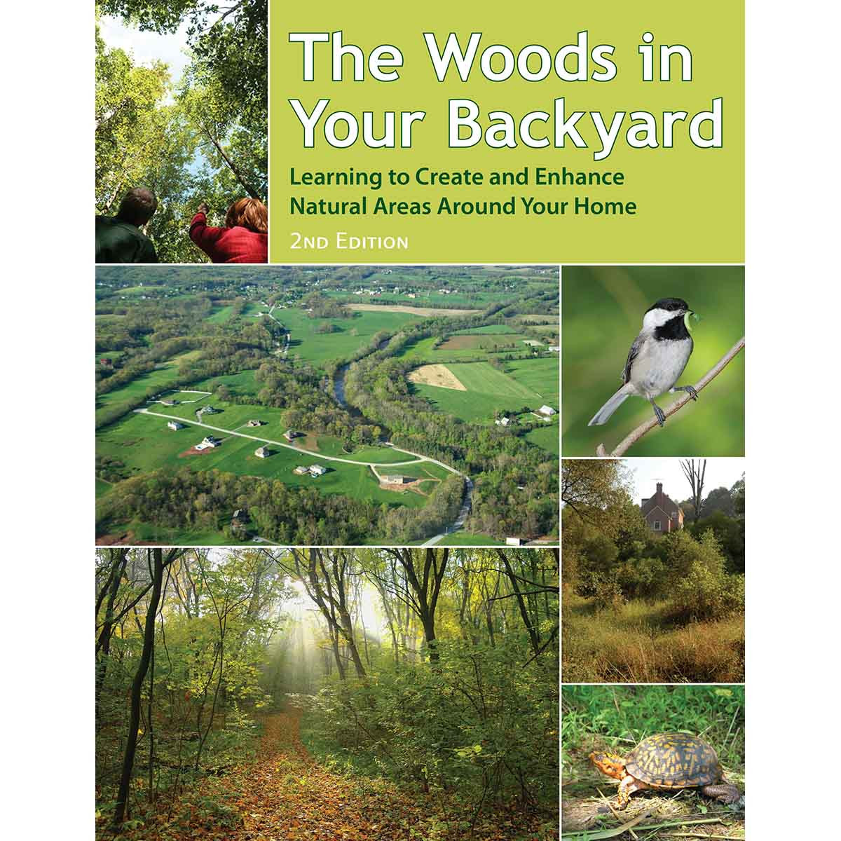Growing Fruits and Vegetables in Your Backyard Forest | Piedmont Master ...