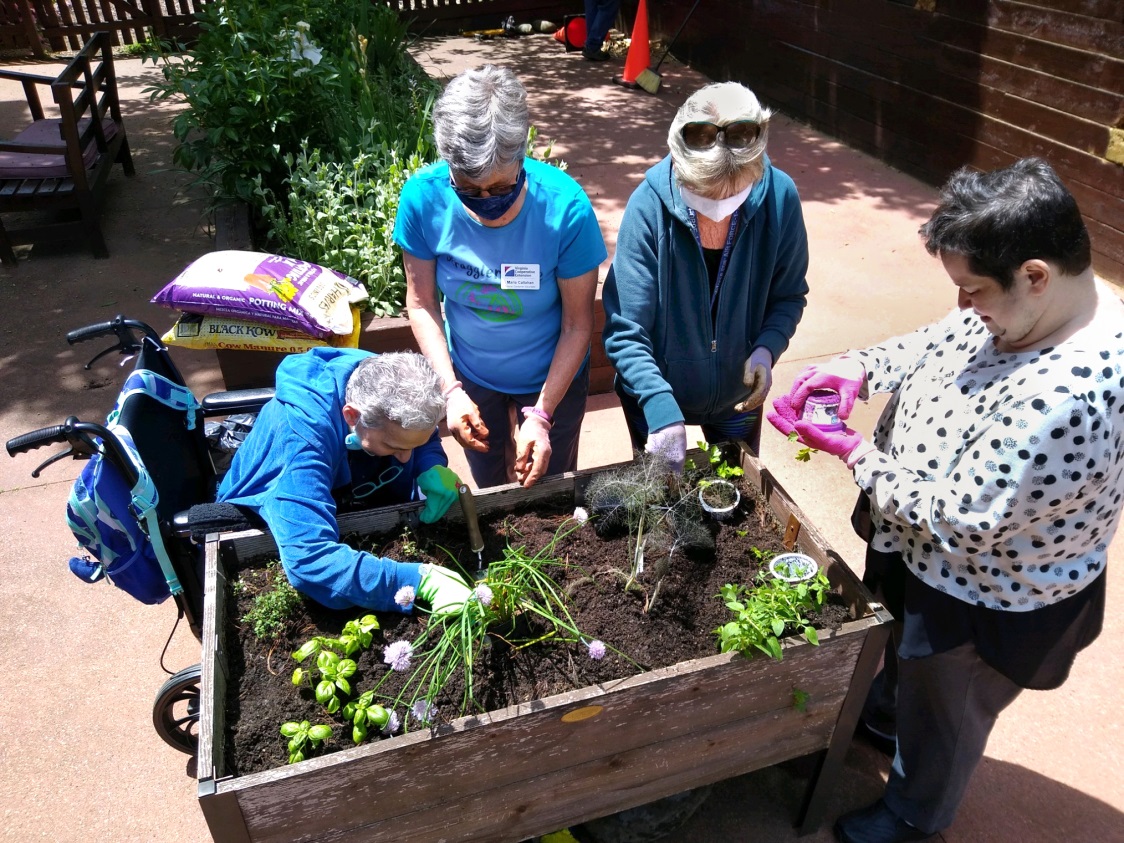 New Piedmont Master Gardener Projects | Piedmont Master Gardeners