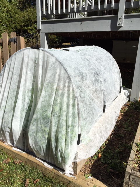 The Edible Garden in October – Piedmont Master Gardeners