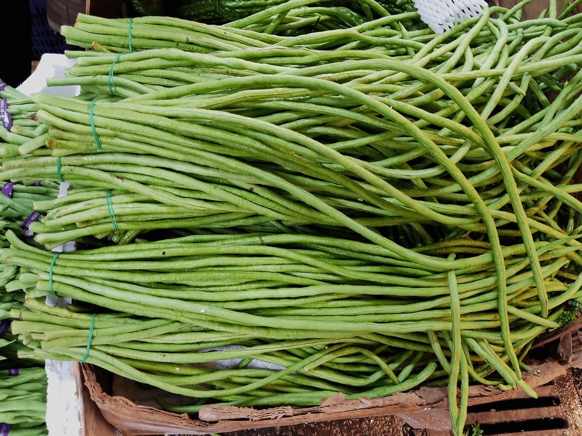The Magic of Legumes | Piedmont Master Gardeners