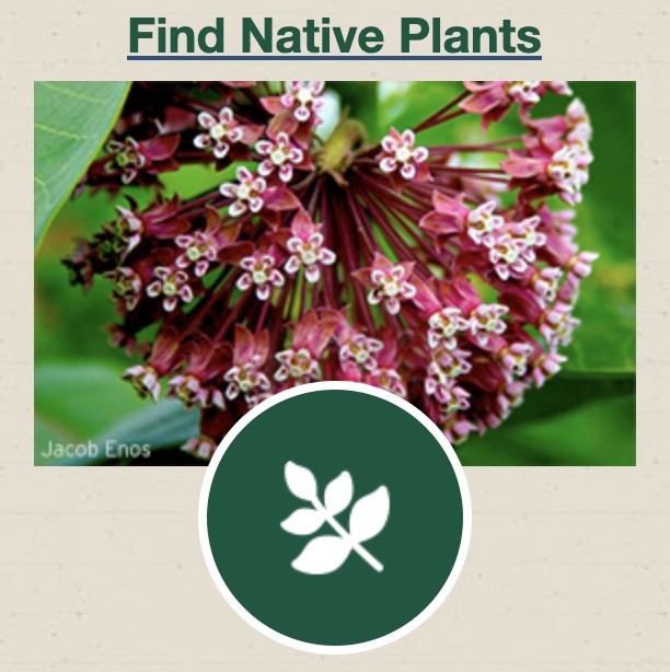 “Keystone” Native Plants 101 | Piedmont Master Gardeners