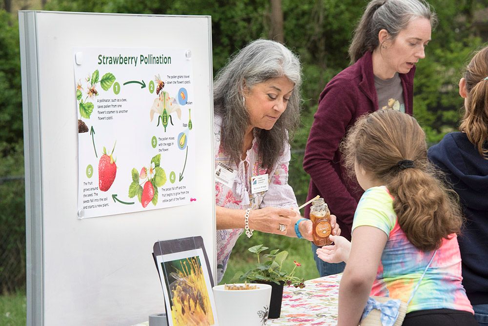 Schoolyard Gardening Projects | Piedmont Master Gardeners