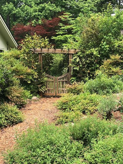 A Visit to the Gardens of Julia Green | Piedmont Master Gardeners