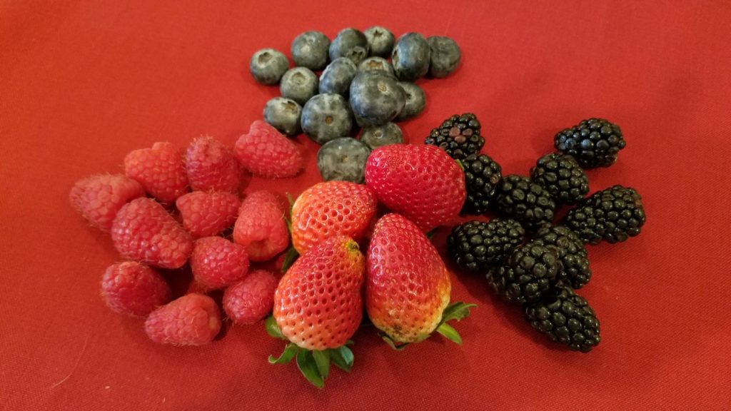 The Differences Between Drupes, Berries, Nuts and More Explained ...