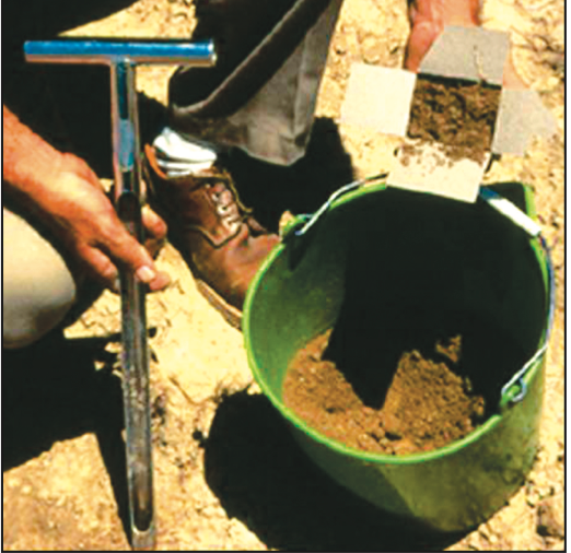 Improving Soil Quality – Piedmont Master Gardeners